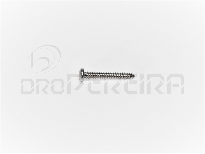 PARAFUSO AUTO-ROSCANTE C.QUEIJO INOX 3.9x38 1 1/2"x7